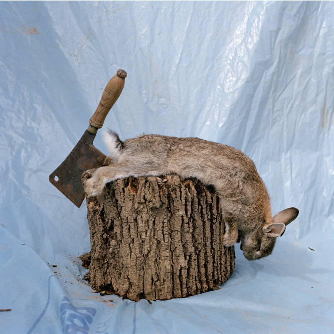 The Stranger in the Field - Polly Garnett