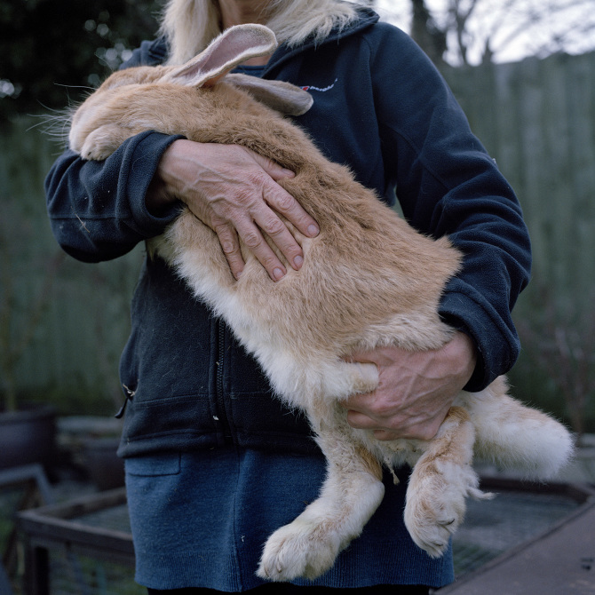 The Stranger in the Field - Polly Garnett