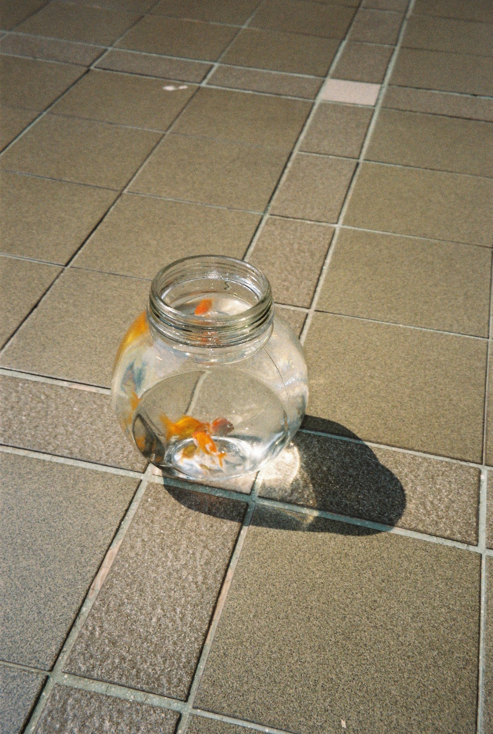 Under Experiment Project/ photography - rattanachai.srr