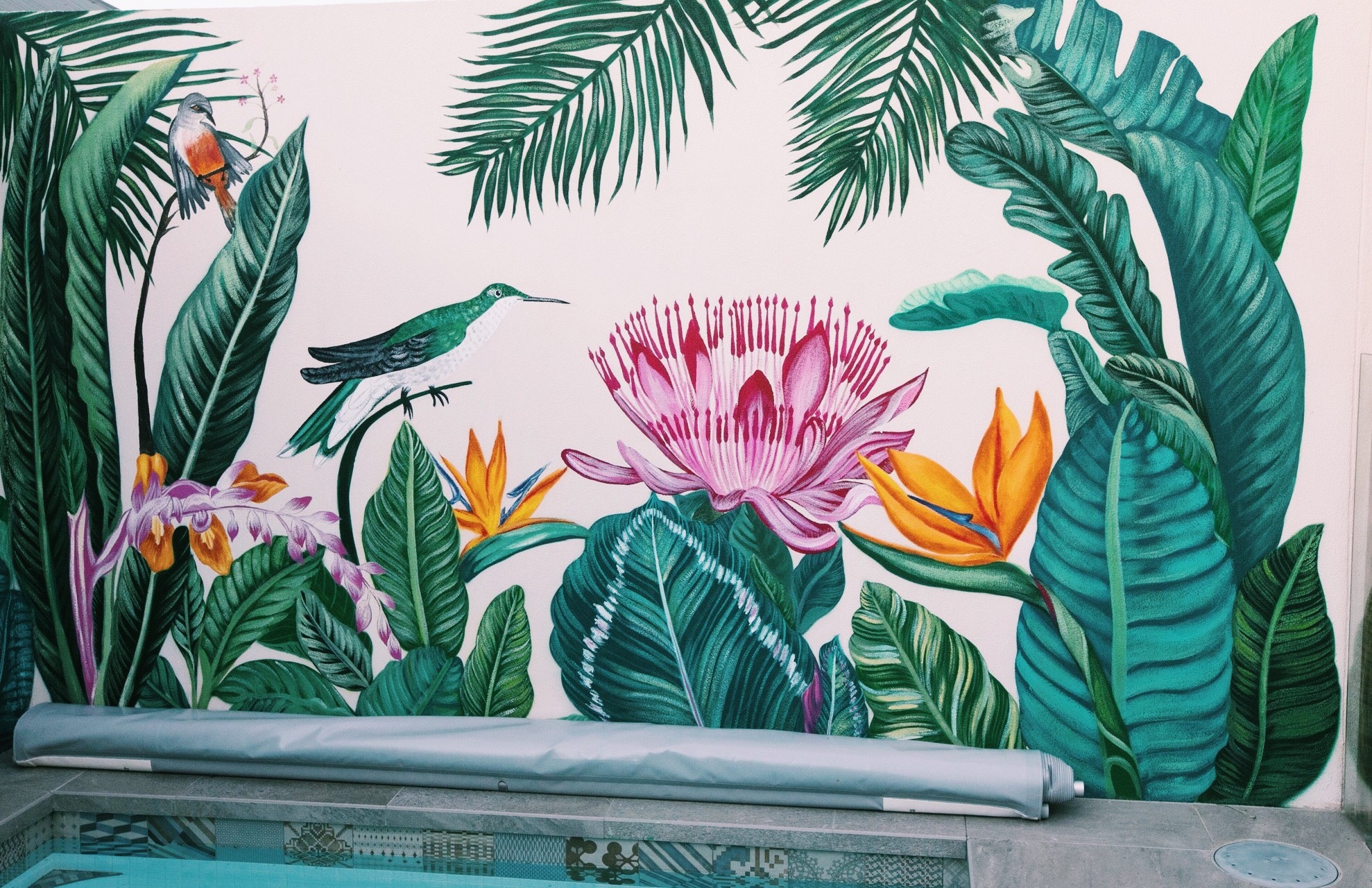 Residential Pool Mural - Nicky Create | Mural Artist Adelaide