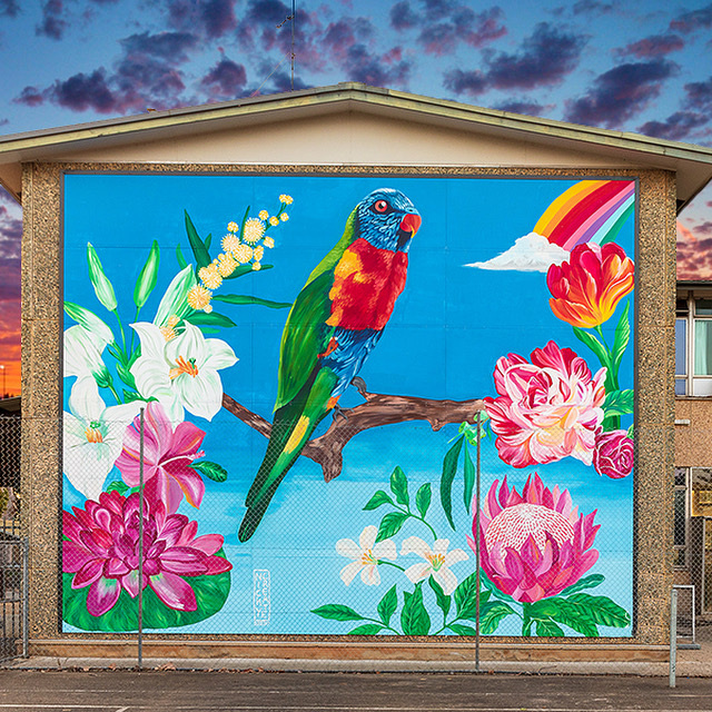 Findon Highschool Mural - Nicky Create | Mural Artist Adelaide
