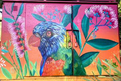 DPTI Blackwood Station Boxes - Nicky Create | Mural Artist Adelaide