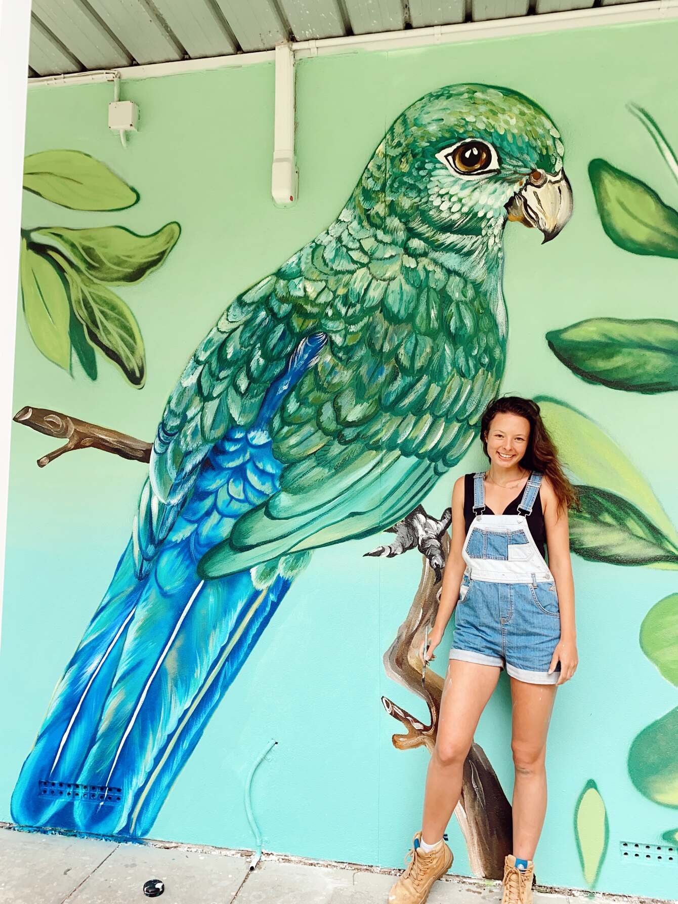 Beefacres Mural - Nicky Create | Mural Artist Adelaide