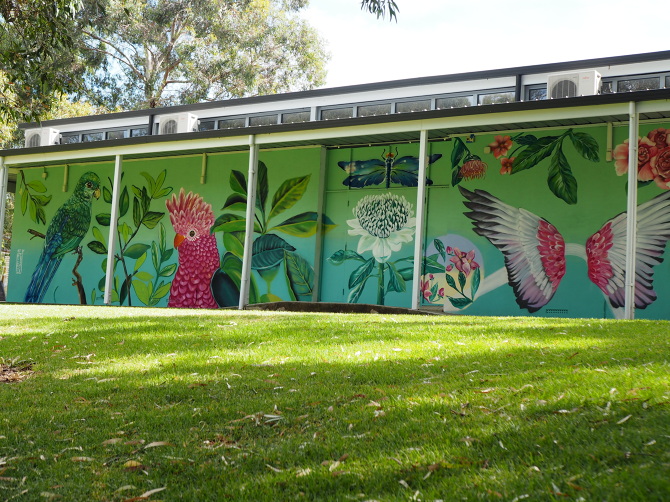 Beefacres Mural - Nicky Create | Mural Artist Adelaide