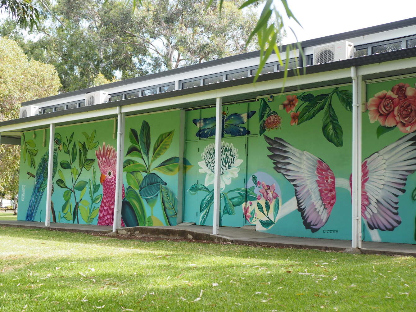 Beefacres Mural - Nicky Create | Mural Artist Adelaide