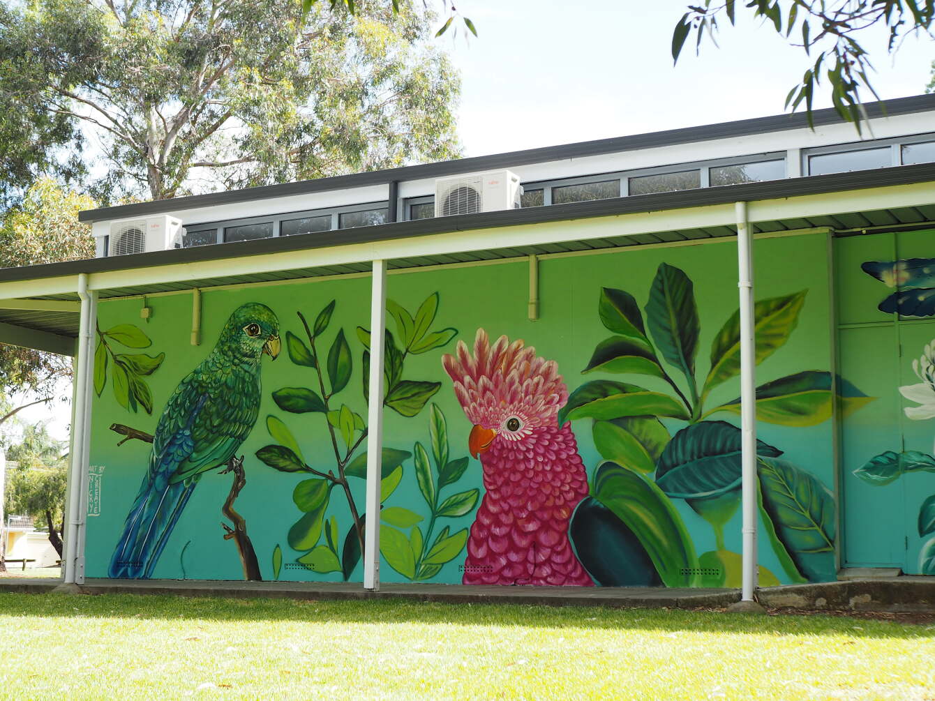 Beefacres Mural - Nicky Create | Mural Artist Adelaide