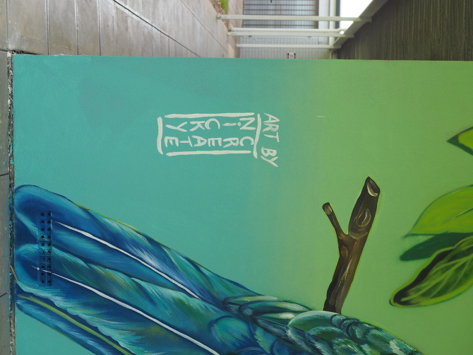 Beefacres Mural - Nicky Create | Mural Artist Adelaide