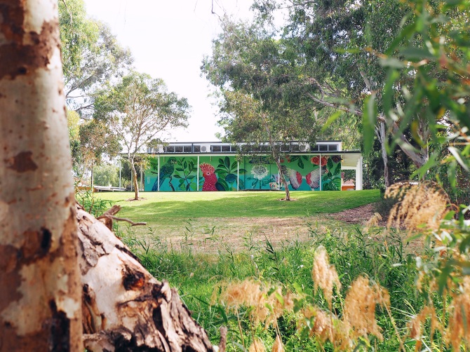 Beefacres Mural - Nicky Create | Mural Artist Adelaide