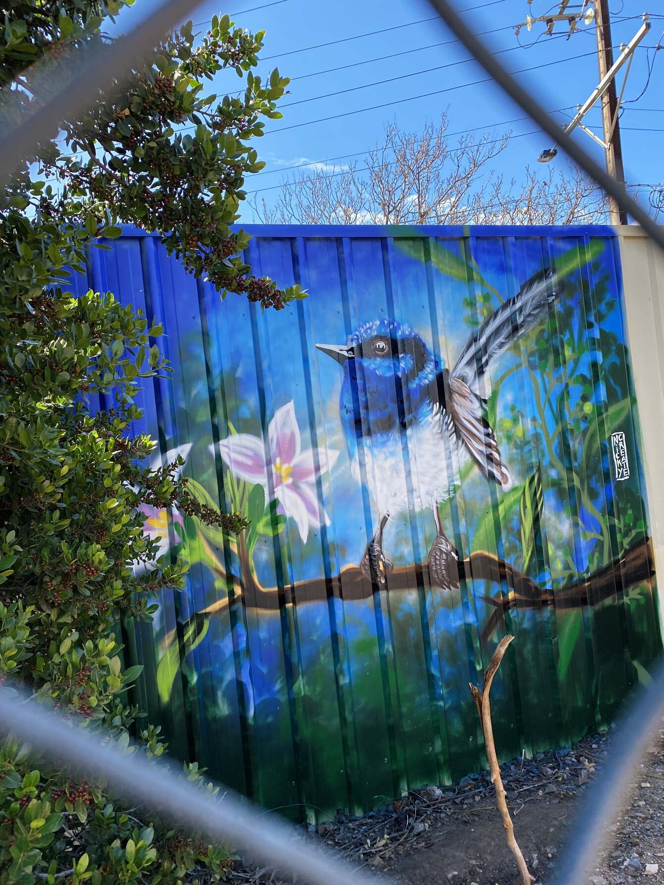 Plympton Tram Stop Murals - Nicky Create | Mural Artist Adelaide