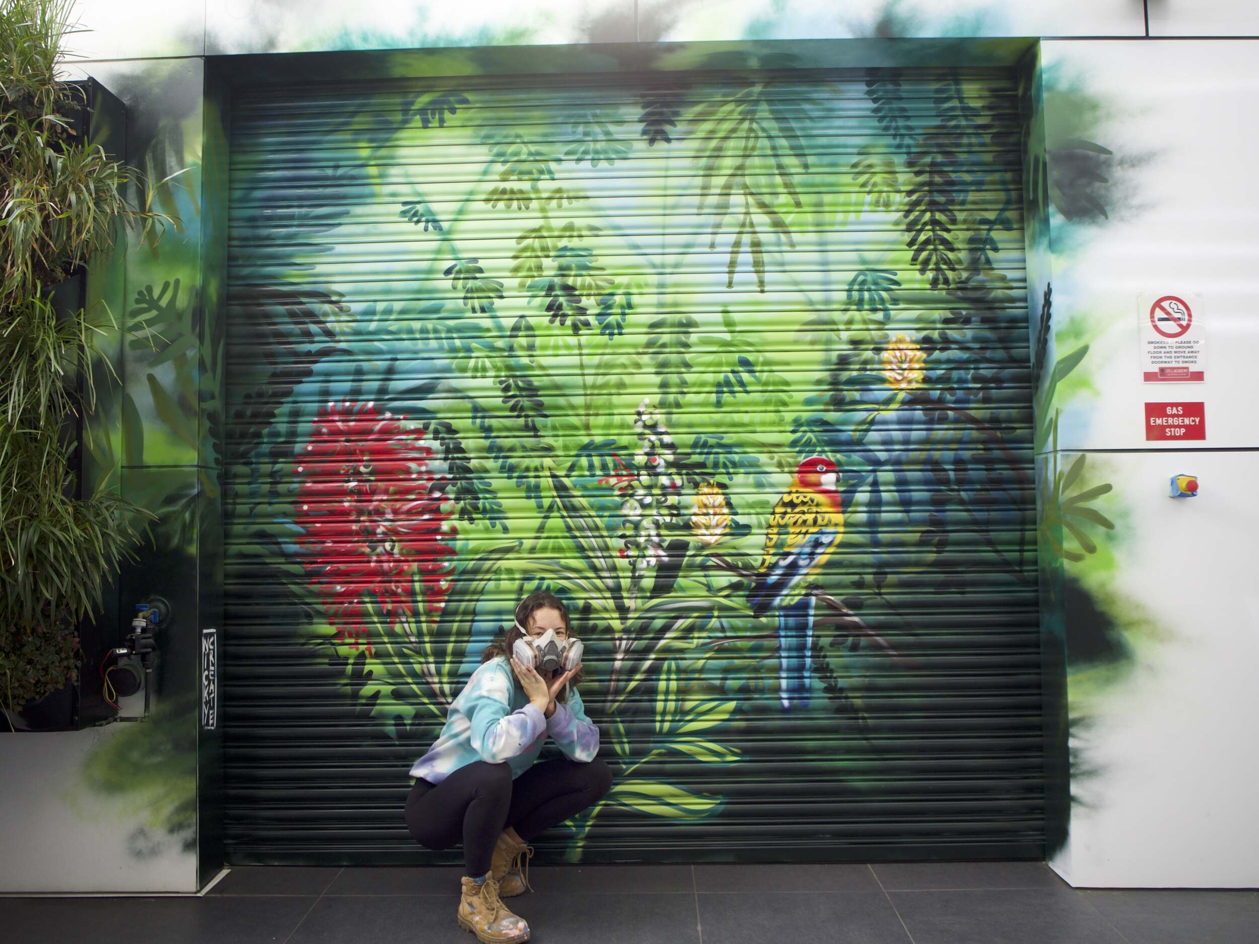 Weber BBQ roller door - Nicky Create | Mural Artist Adelaide