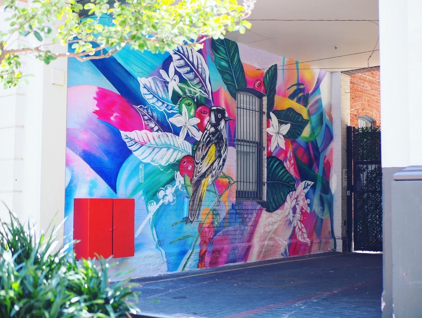 Leigh Street CBD Mural! - Nicky Create | Mural Artist Adelaide