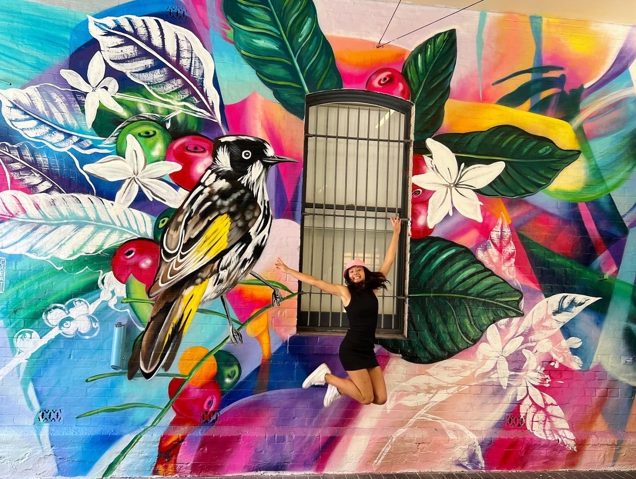 Leigh Street CBD Mural! - Nicky Create | Mural Artist Adelaide