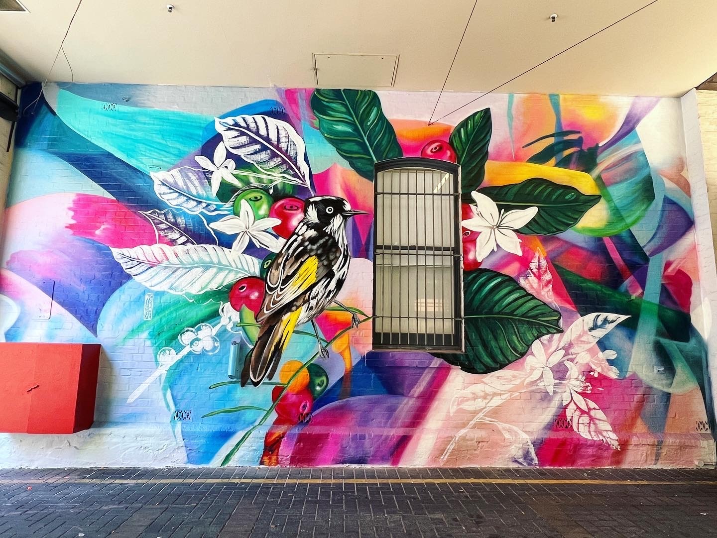 Leigh Street CBD Mural! - Nicky Create | Mural Artist Adelaide
