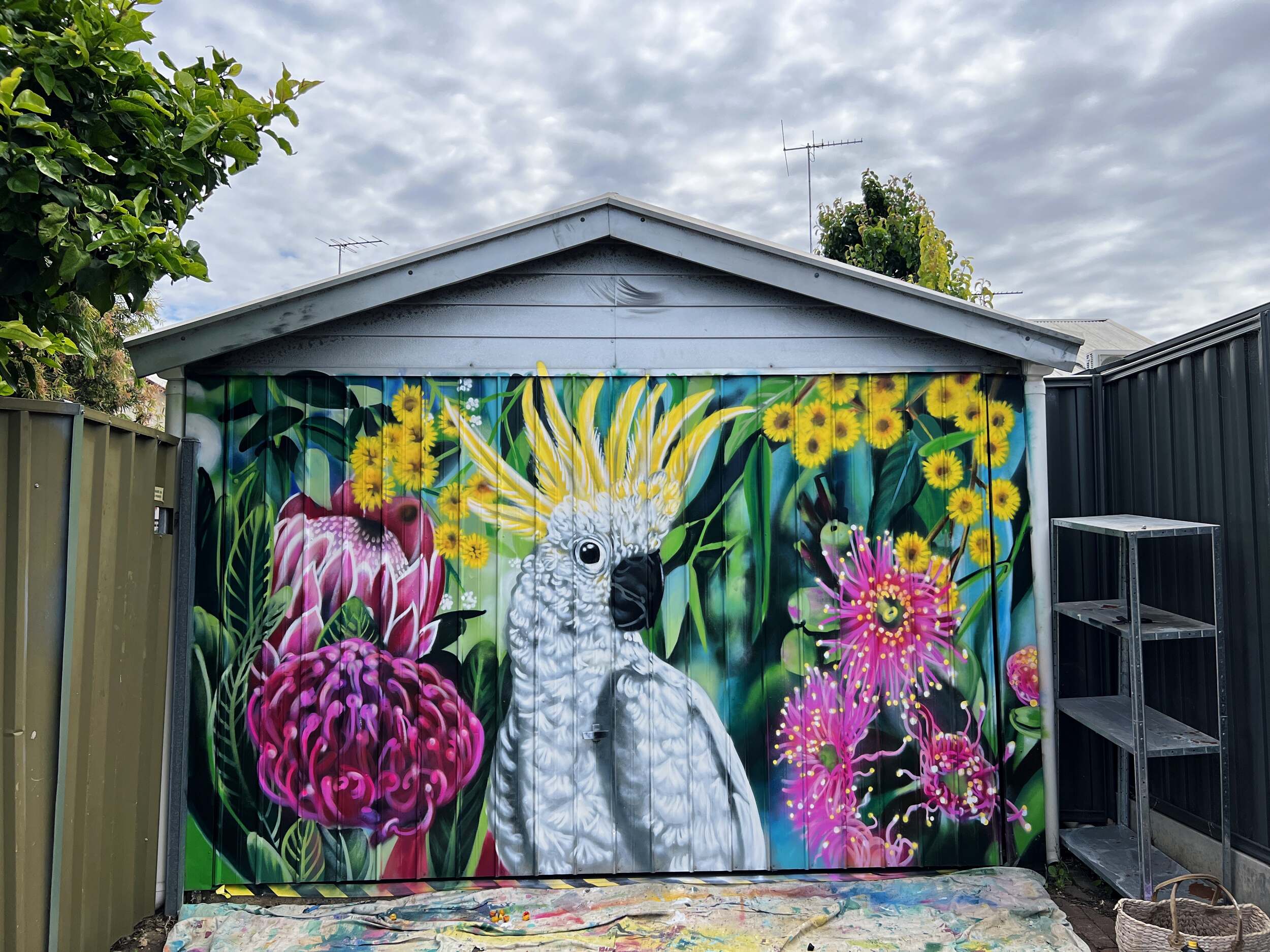 Shed Door Mural - Nicky Create | Mural Artist Adelaide
