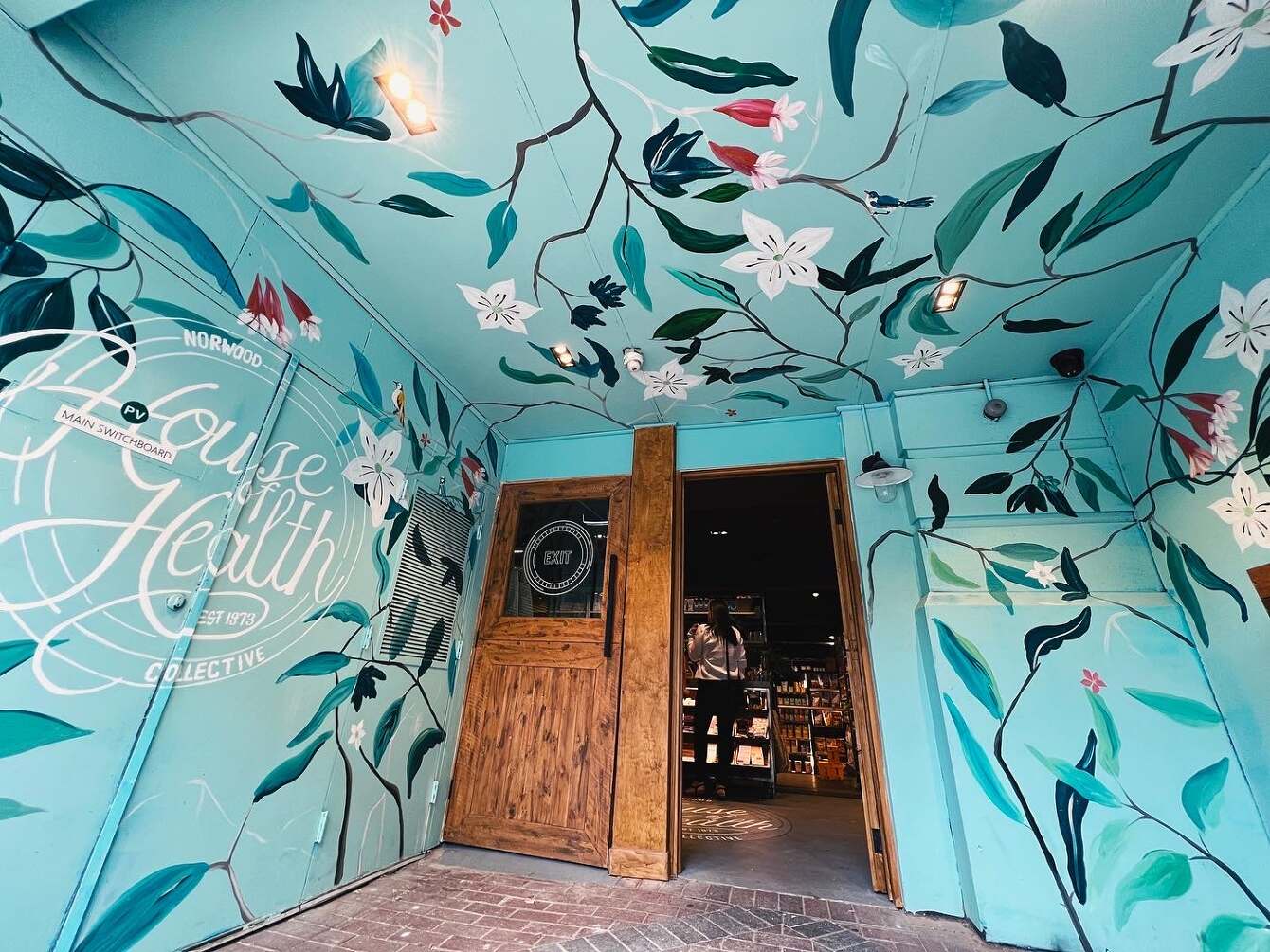 House of Health Mural - Nicky Create | Mural Artist Adelaide