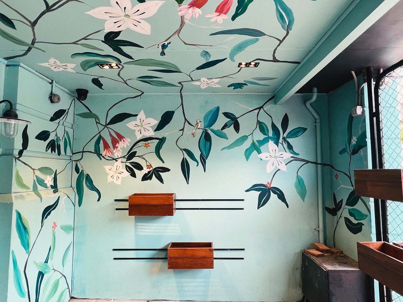 House of Health Mural - Nicky Create | Mural Artist Adelaide