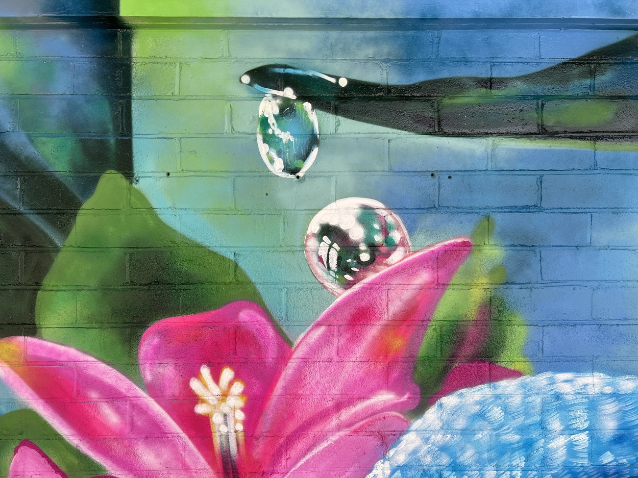 Belair Primary School - Nicky Create | Mural Artist Adelaide