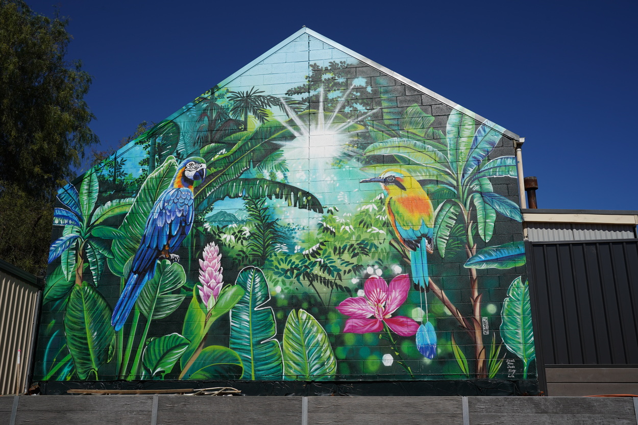 Residential Forest mural - Nicky Create | Mural Artist Adelaide