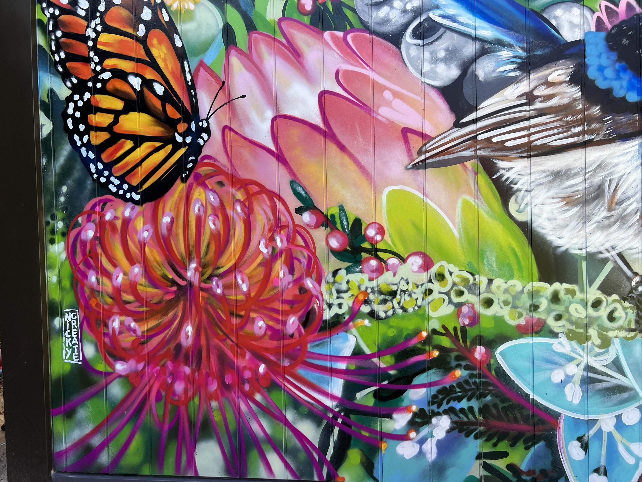 Native Mural 2025 - Nicky Create | Mural Artist Adelaide