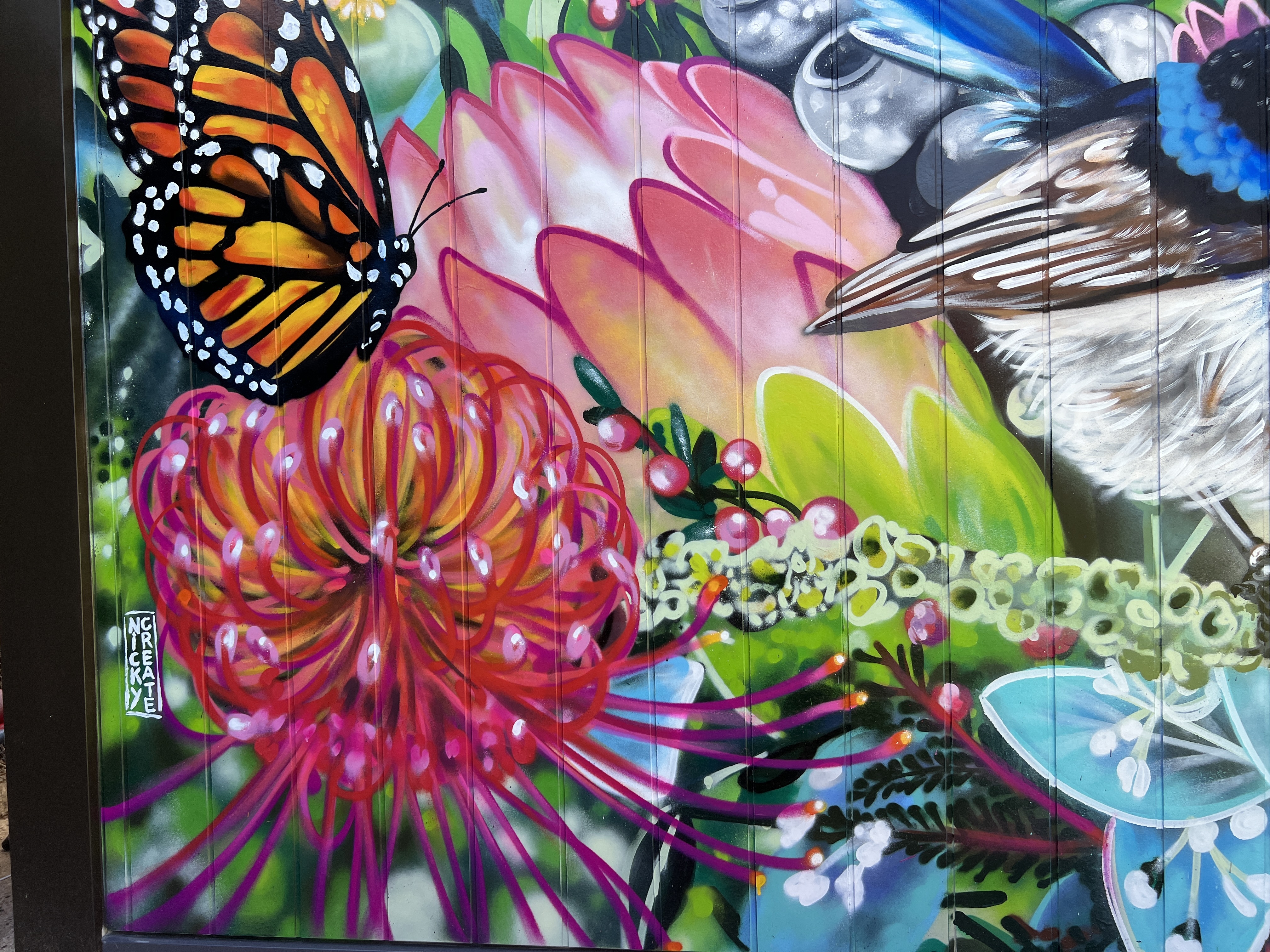 Native Mural 2025 - Nicky Create | Mural Artist Adelaide