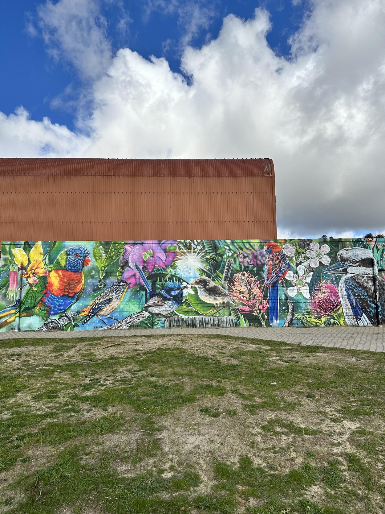 Craigburn Primary School - Nicky Create | Mural Artist Adelaide