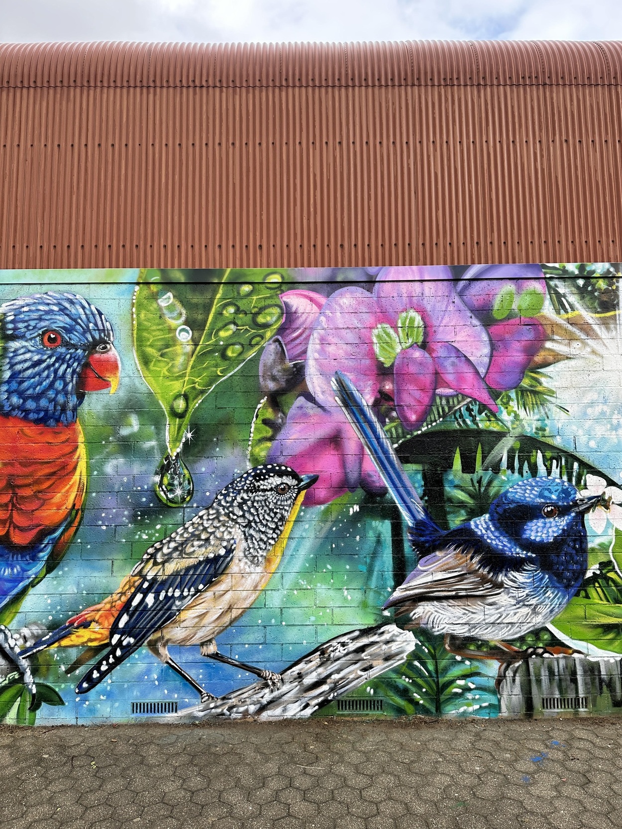 Craigburn Primary School - Nicky Create | Mural Artist Adelaide