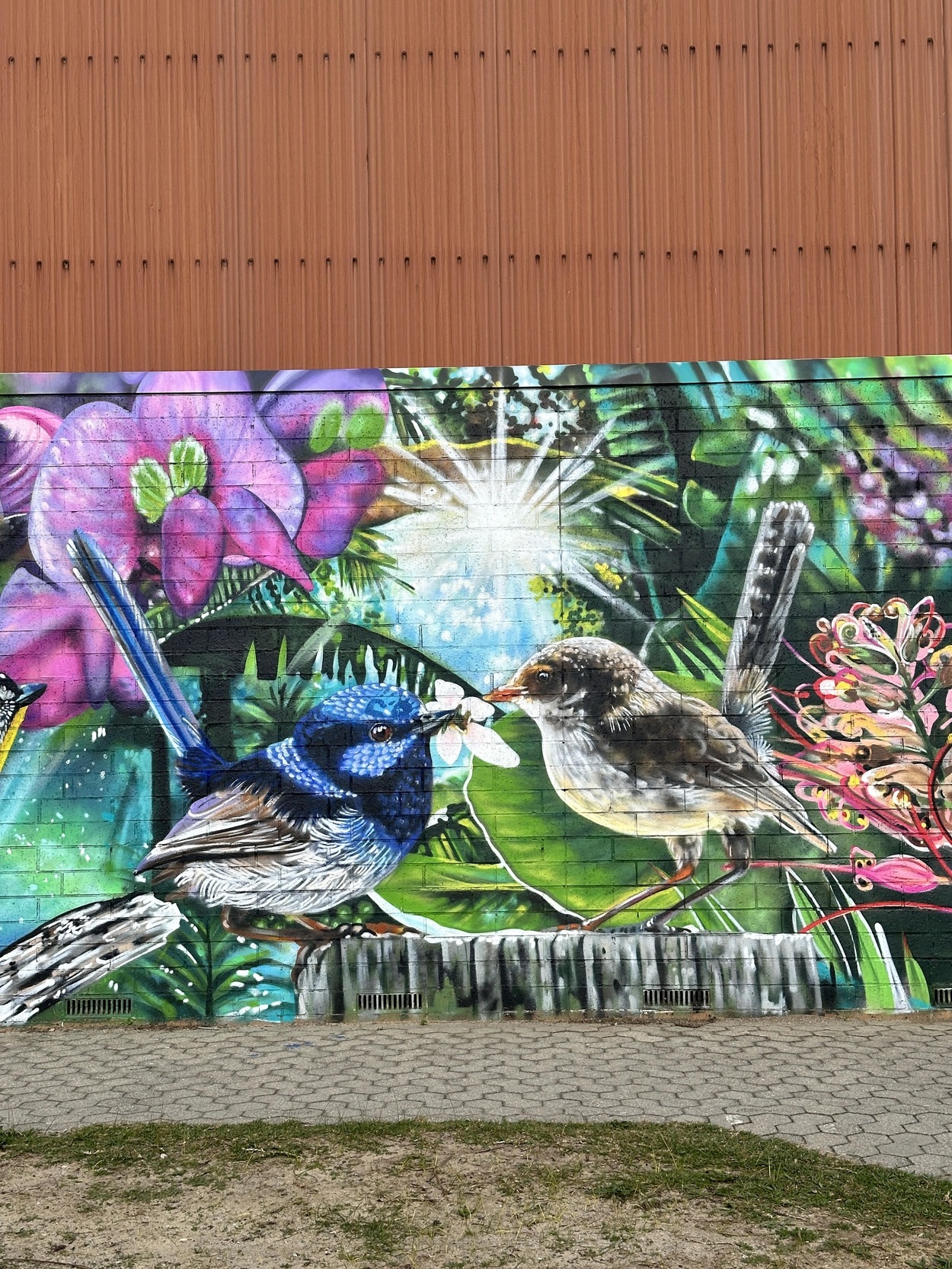 Craigburn Primary School - Nicky Create | Mural Artist Adelaide