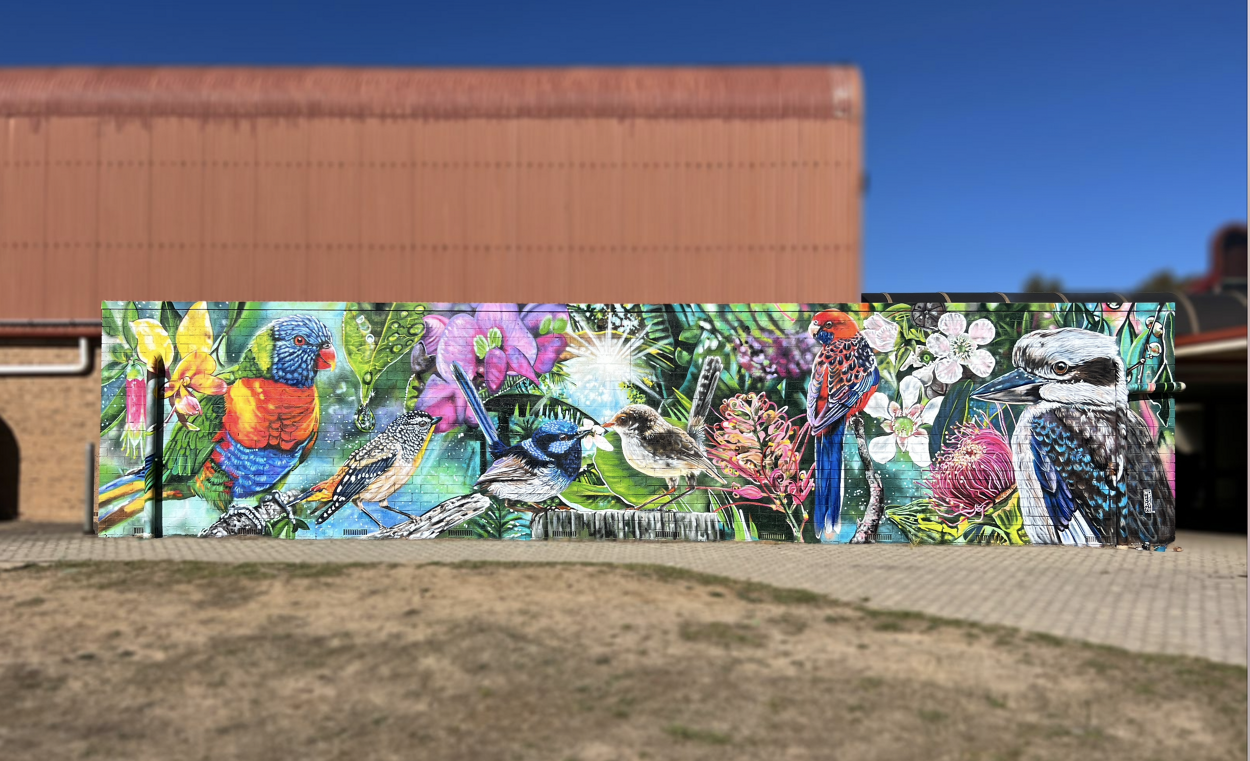 Craigburn Primary School - Nicky Create | Mural Artist Adelaide