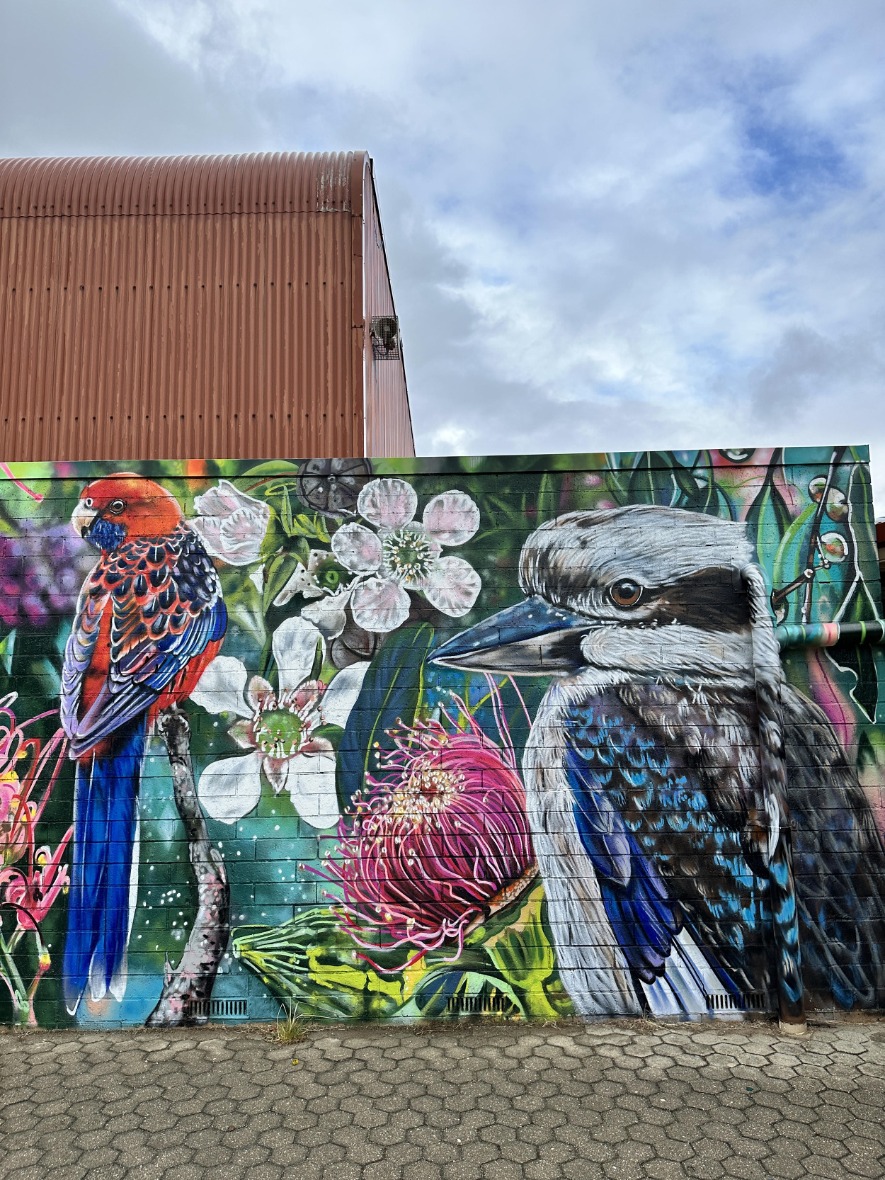 Craigburn Primary School - Nicky Create | Mural Artist Adelaide
