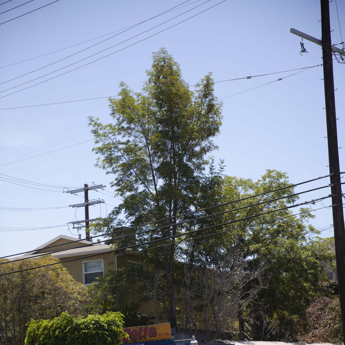 a long, straight road - Steven Cha