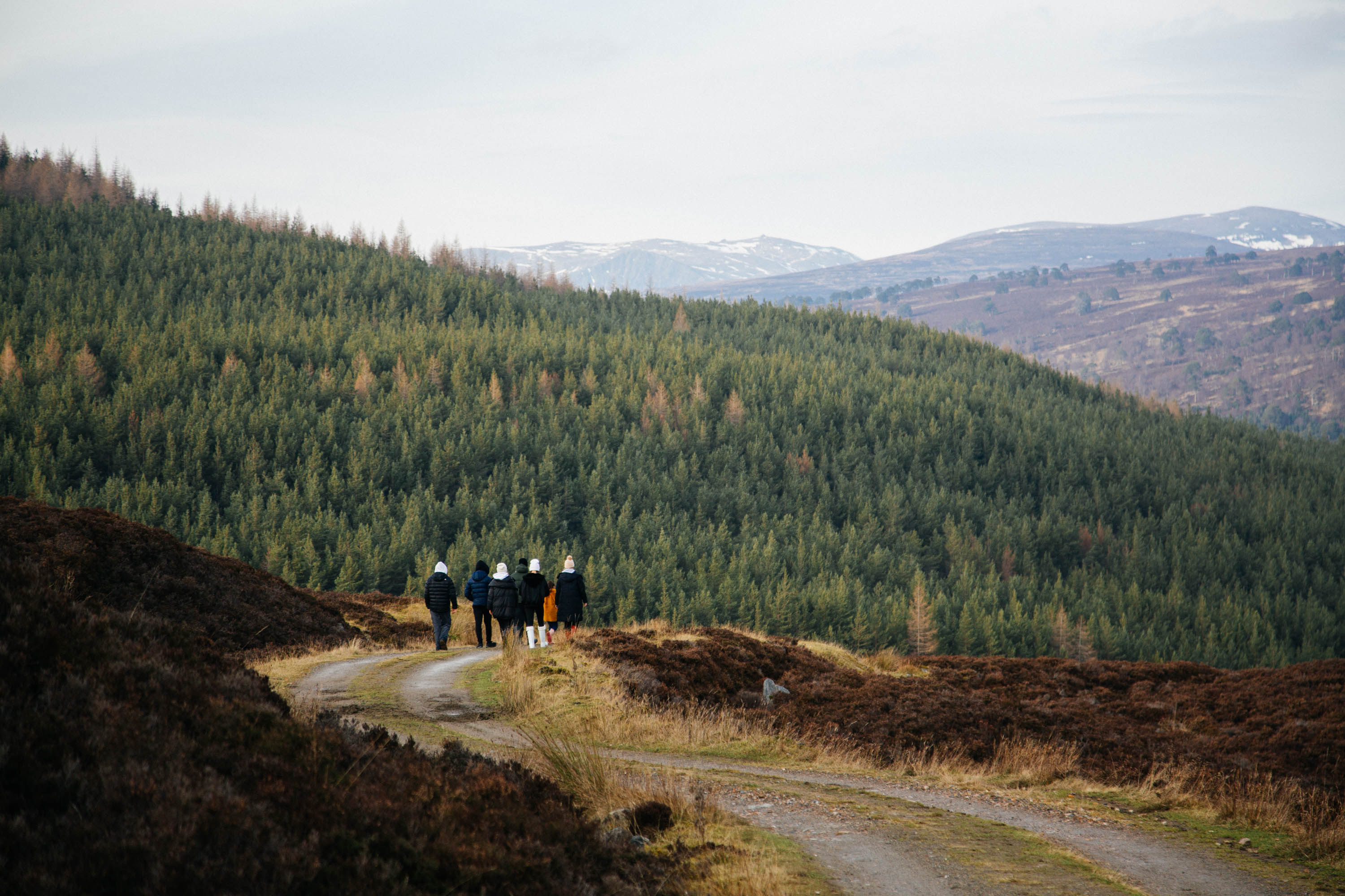 Braemar - Sophie Knight