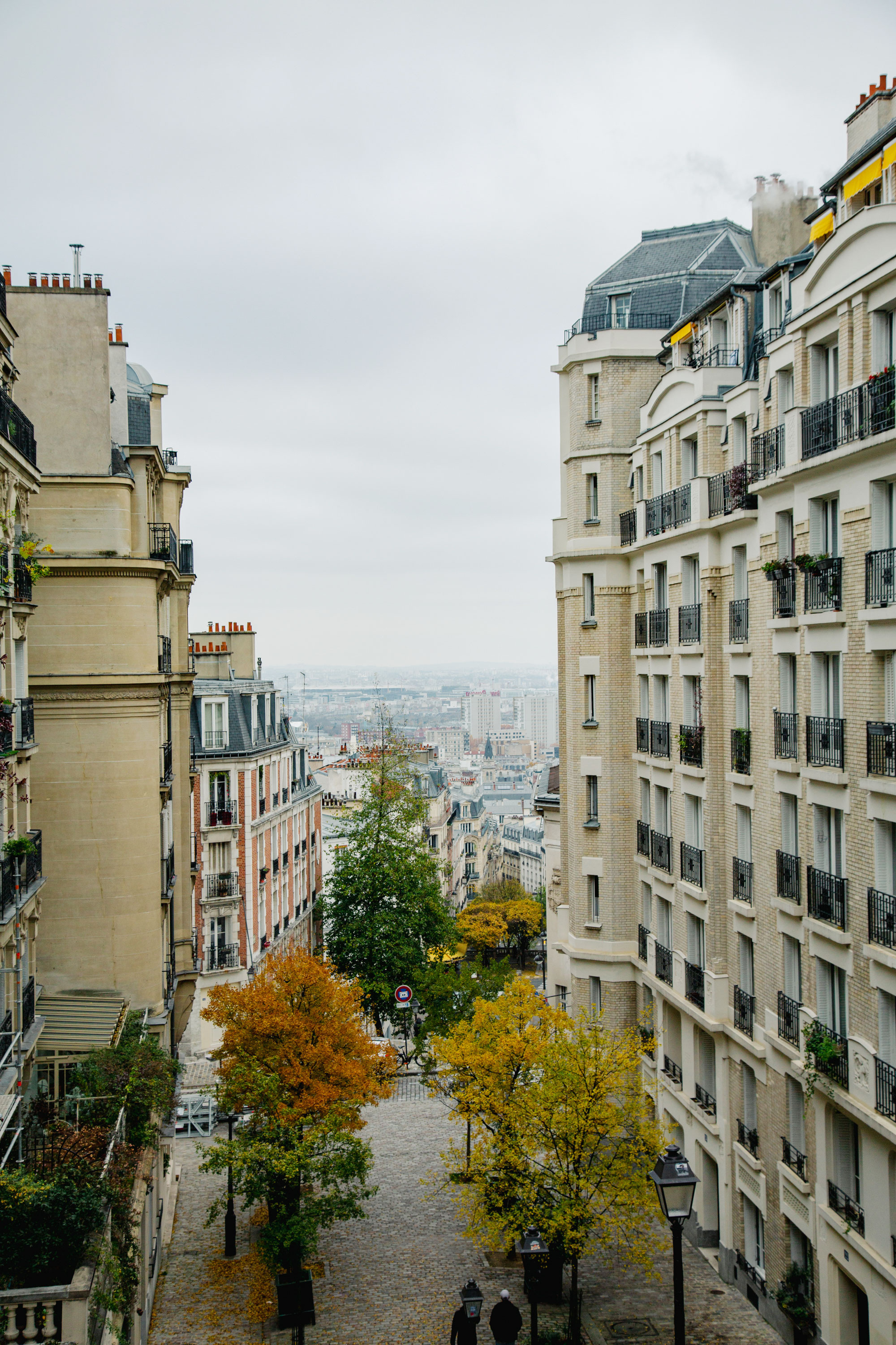 Paris - Sophie Knight