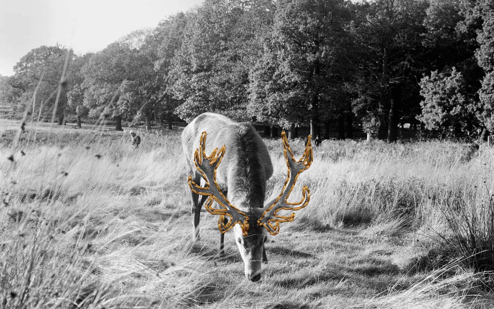 Jo Ann Callis : Early Colour - losthenfound