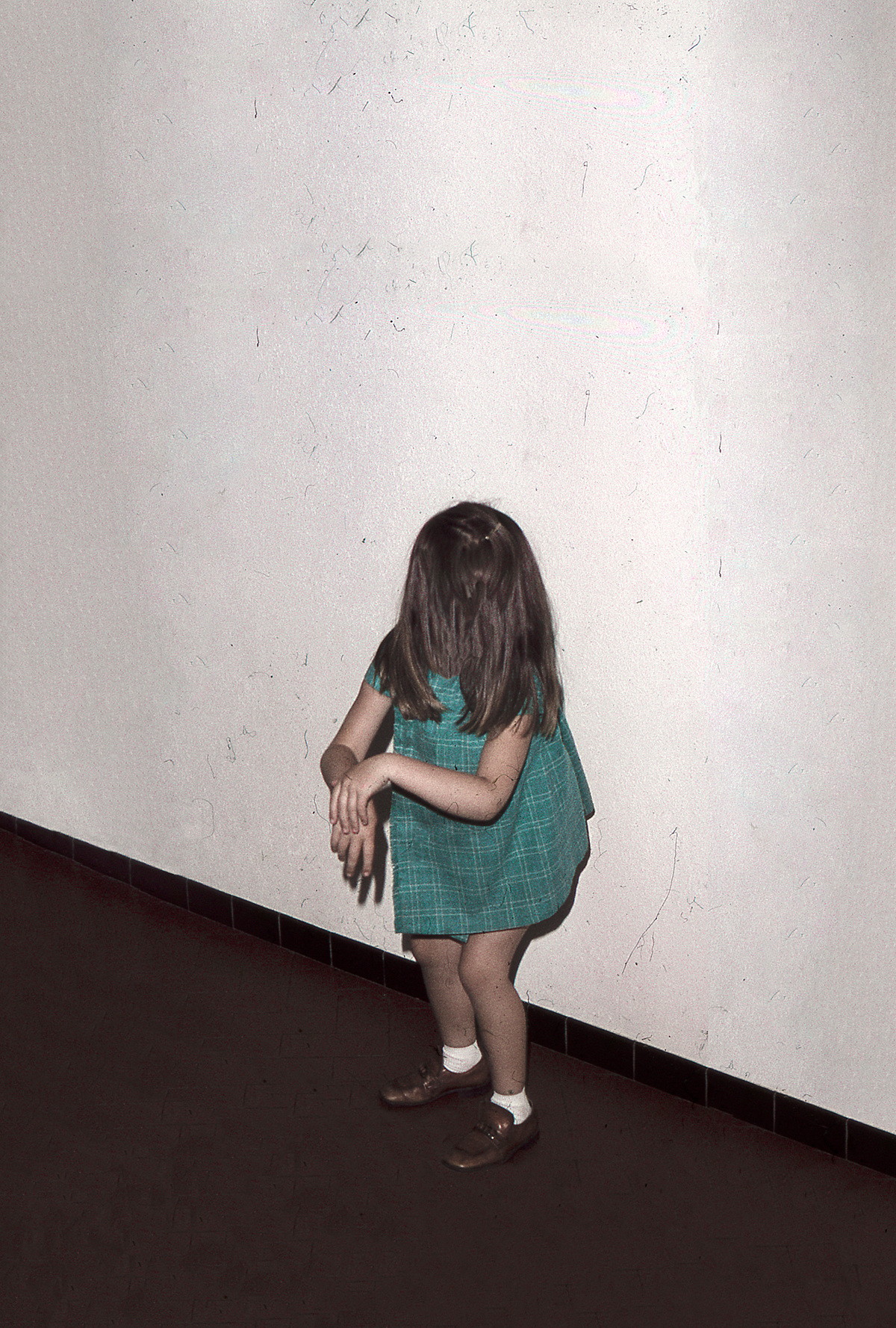 Robin Lopvet : A Family Album - losthenfound