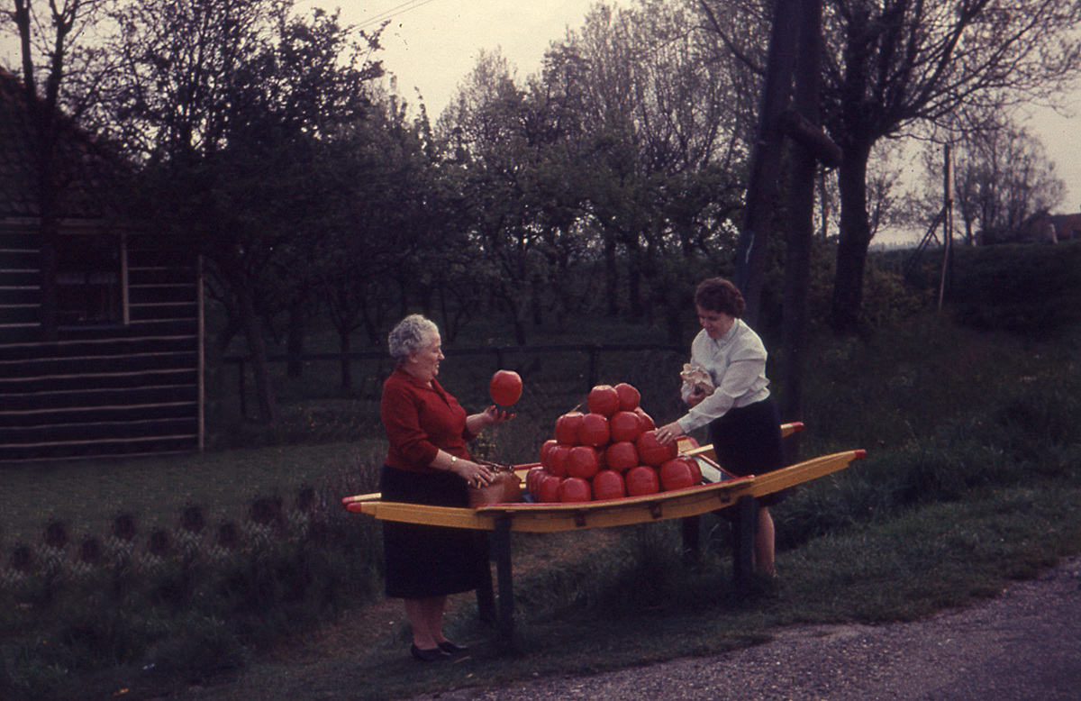 Robin Lopvet : A Family Album - losthenfound