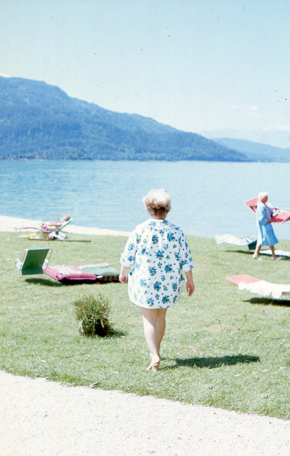 Robin Lopvet : A Family Album - losthenfound