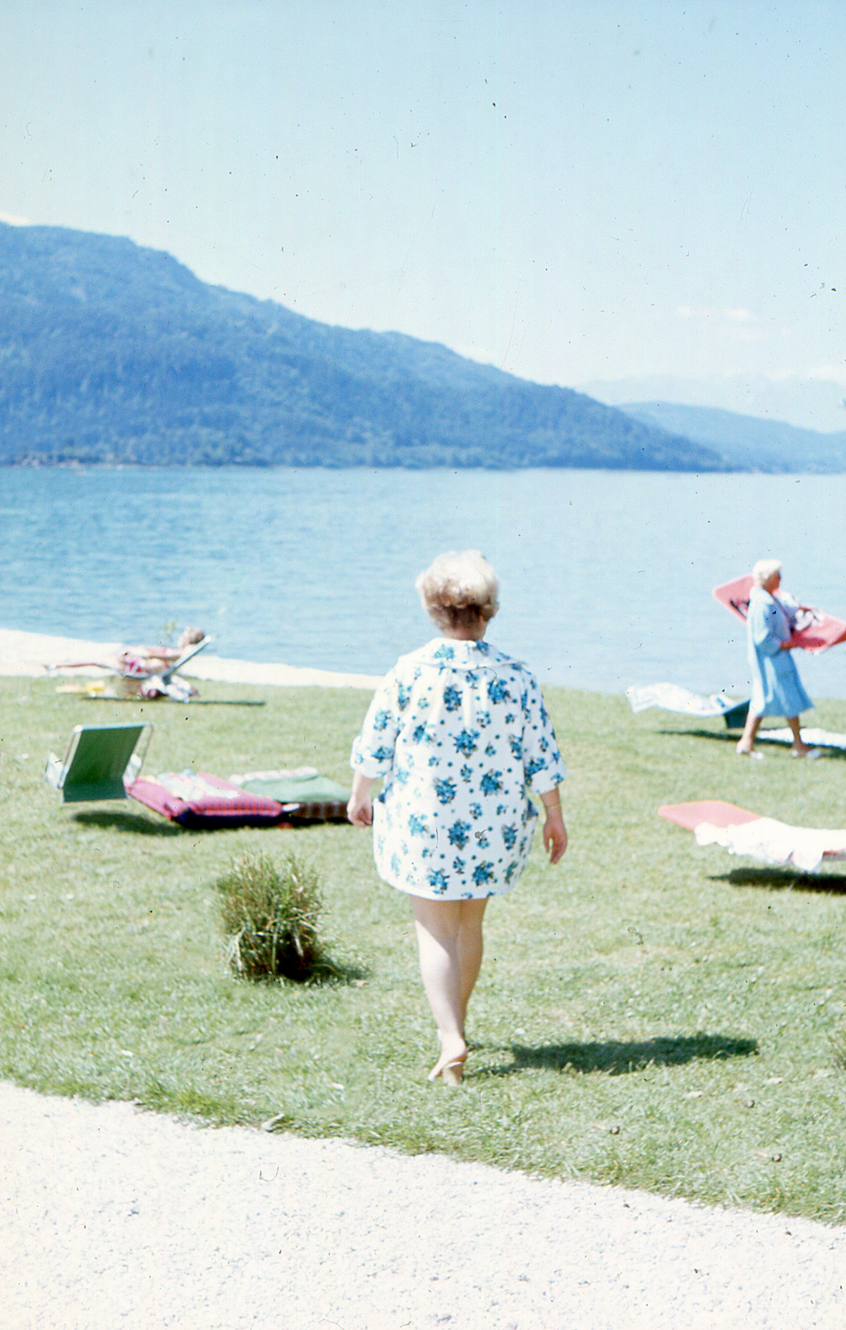 Robin Lopvet : A Family Album - losthenfound