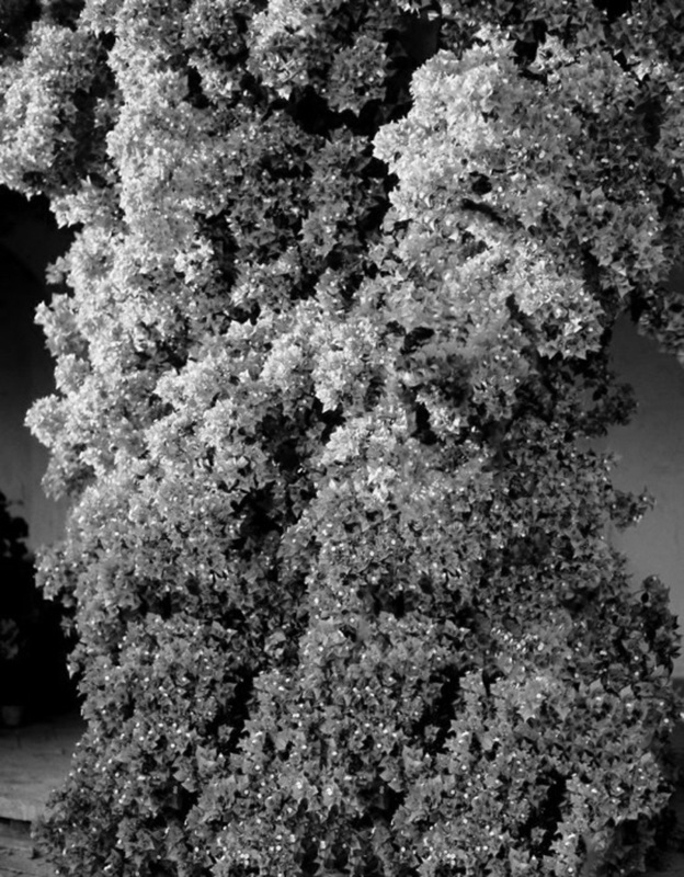 Laura Gowing : Erased - losthenfound