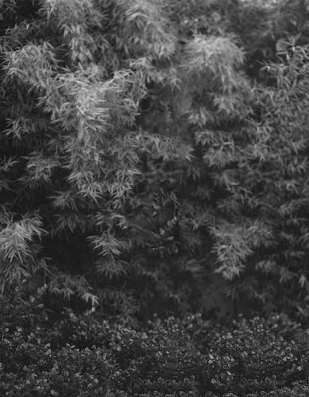 Laura Gowing : Erased - losthenfound