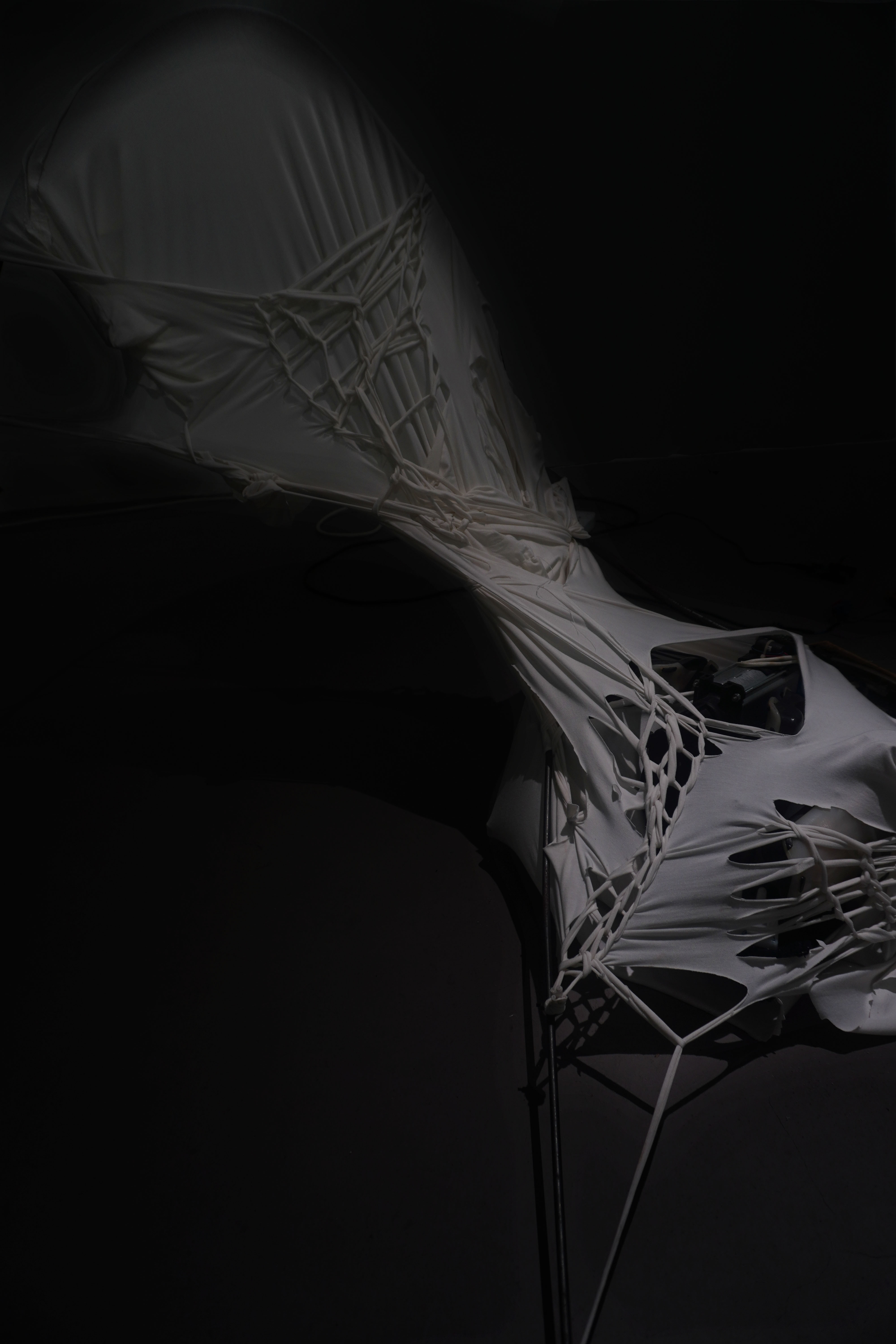 iiiiiiiiii - Si Xuan