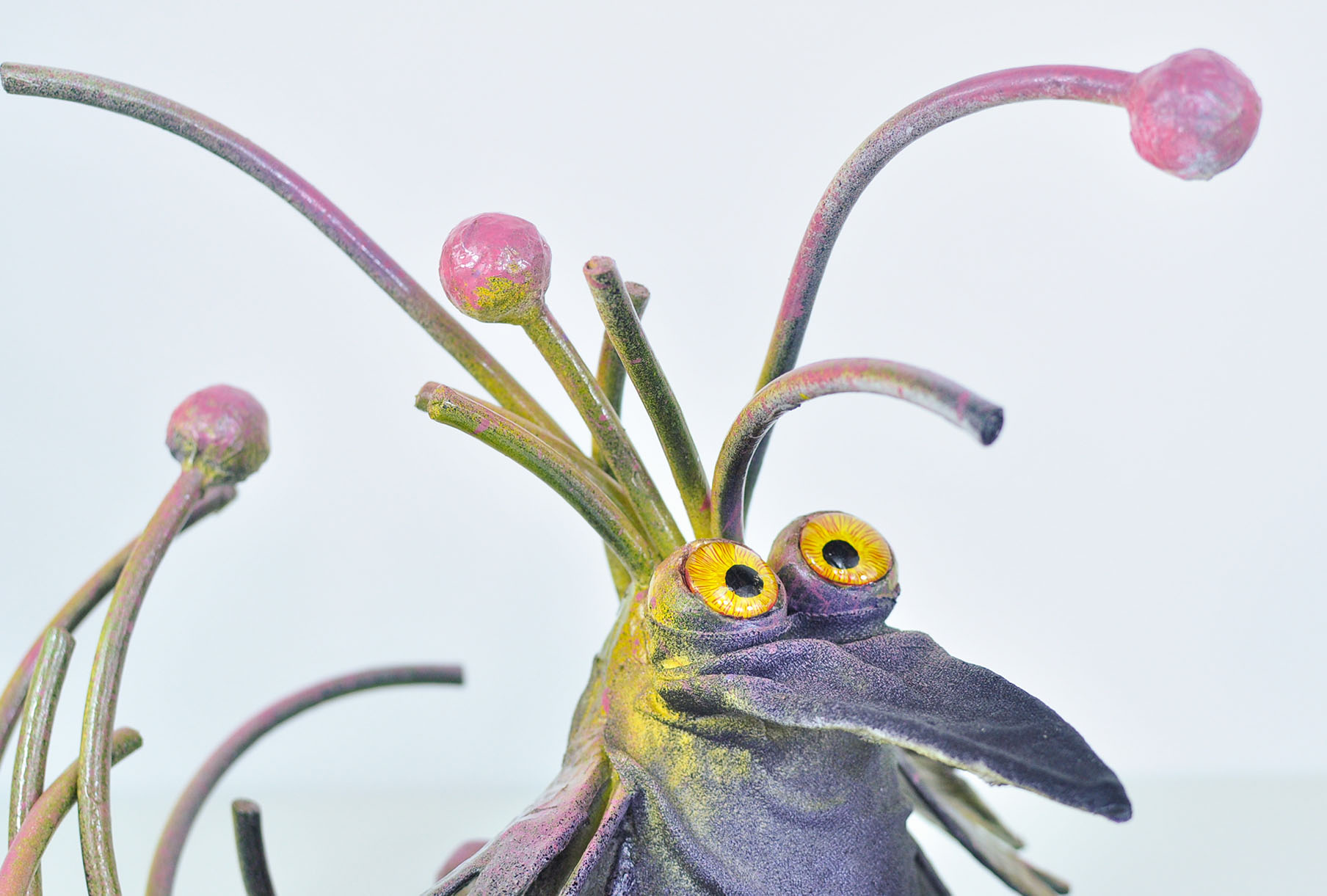 Bugs and flies - Artitude - Papier Mache by Adriana Tanfara