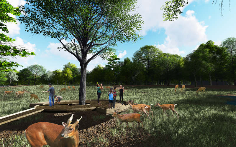 Wildlife Park - 1:80 CU Landscape Architecture Thesis 2016