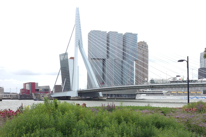 Fieldwork: Moving to Rotterdam - Urban Migration