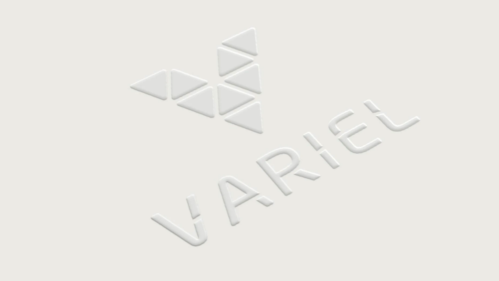 Variel Logo&Branding - cerenbettemir