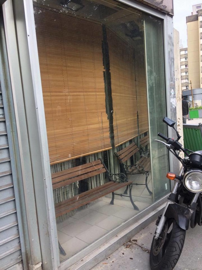 Bridget Griffiths - Window Shopping