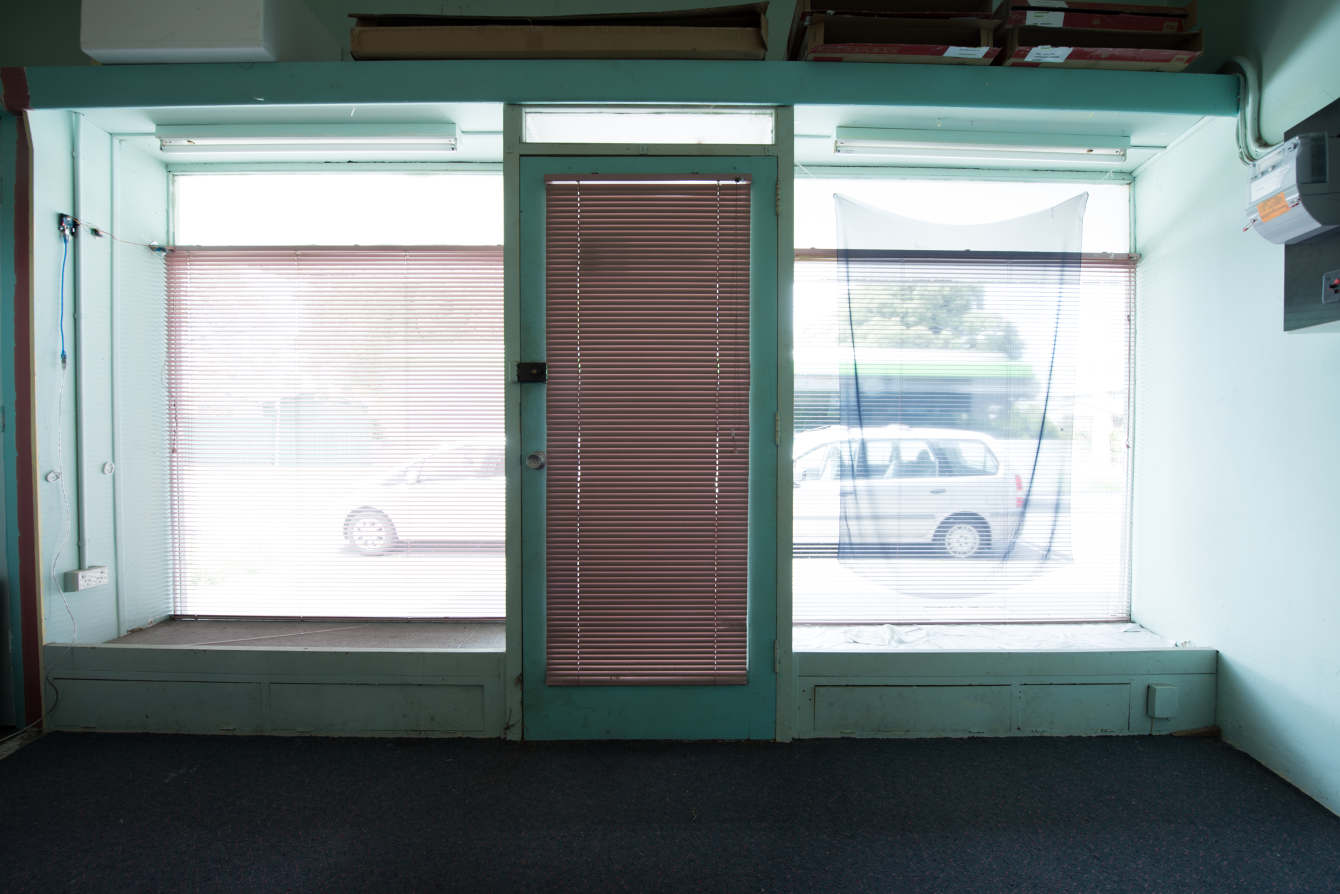 Bridget Griffiths - Window Shopping