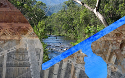 Fern Smith - Window Shopping