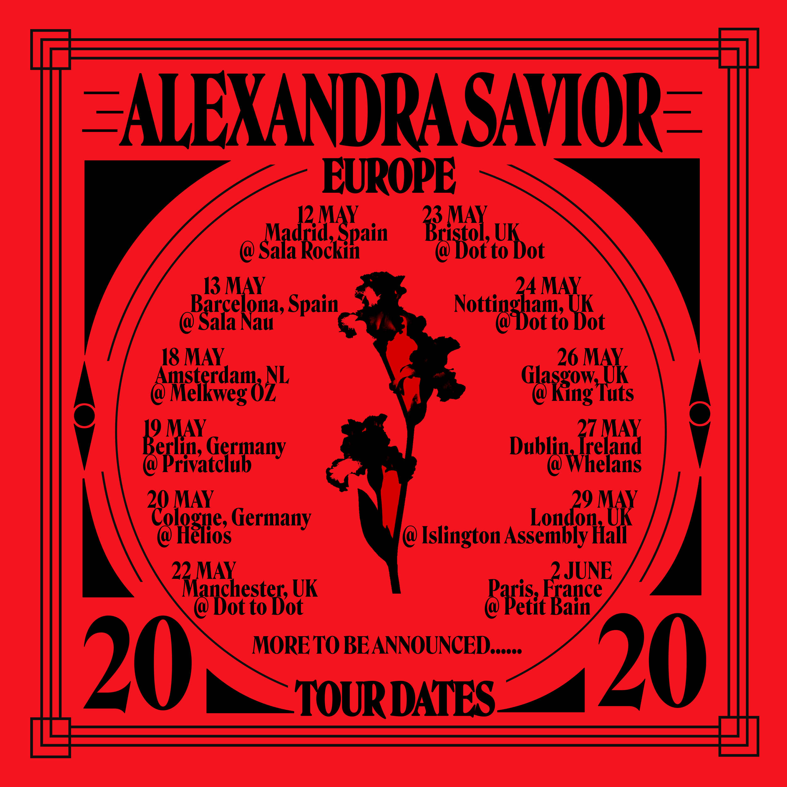 ALEXANDRA SAVIOR TOUR POSTER - ELIZA N WEBER