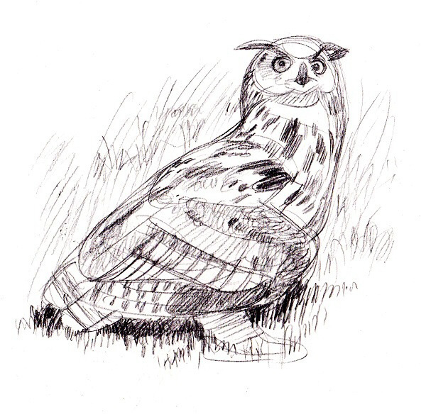 Life Drawings & Studies - Alex Cole Illustration & Design