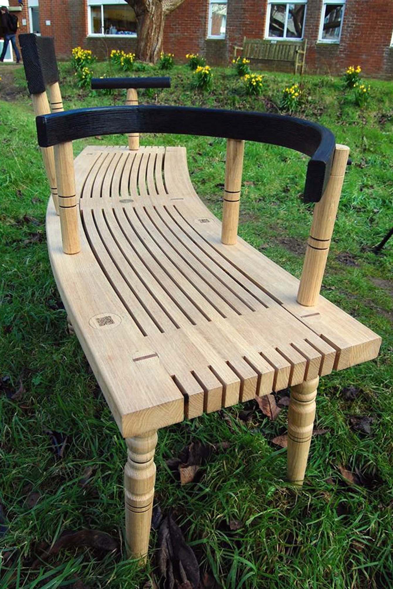 Rewilding: Observatory Bench - Sydney Foster